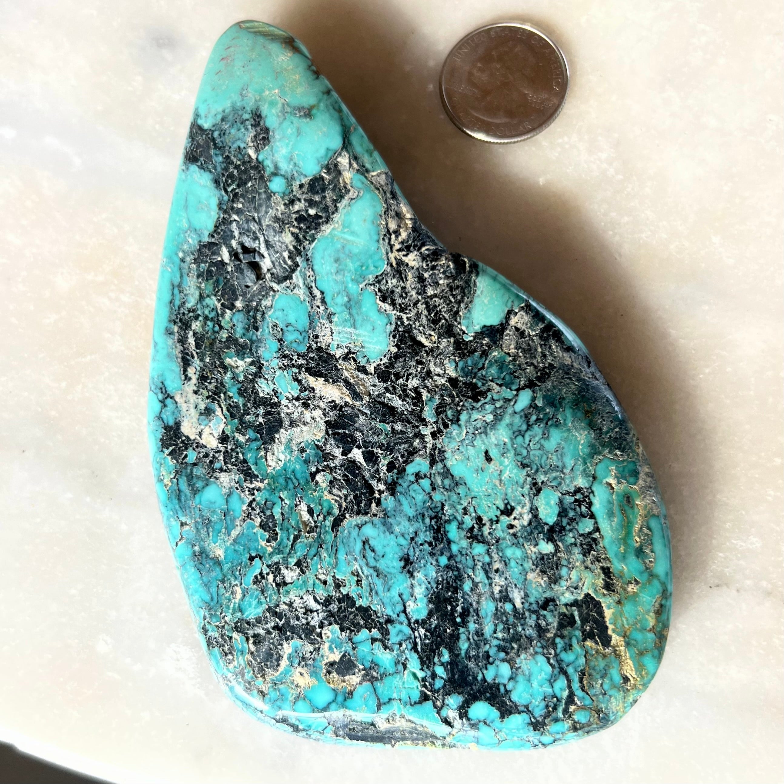 Mantis Turquoise Freeform (TO-TQ-6) – Truth Minerals